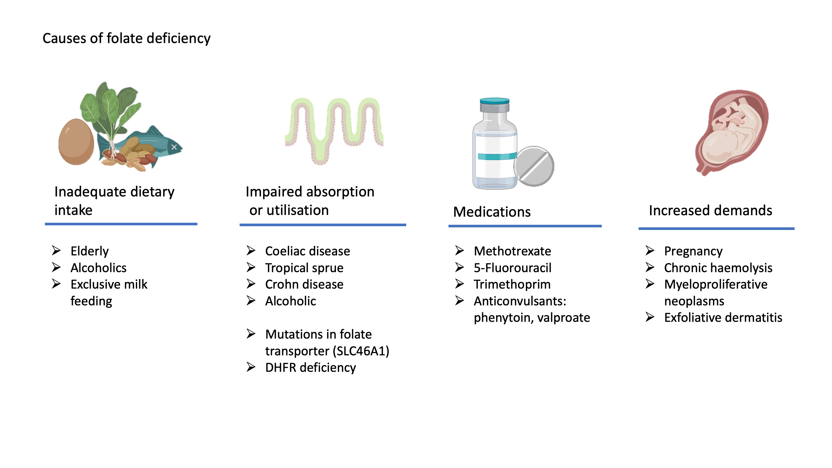 Folate deficiency – Blood & Water