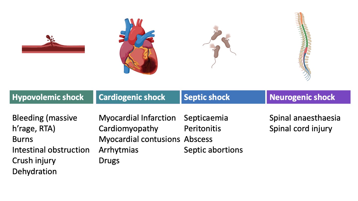Shock – Blood & Water