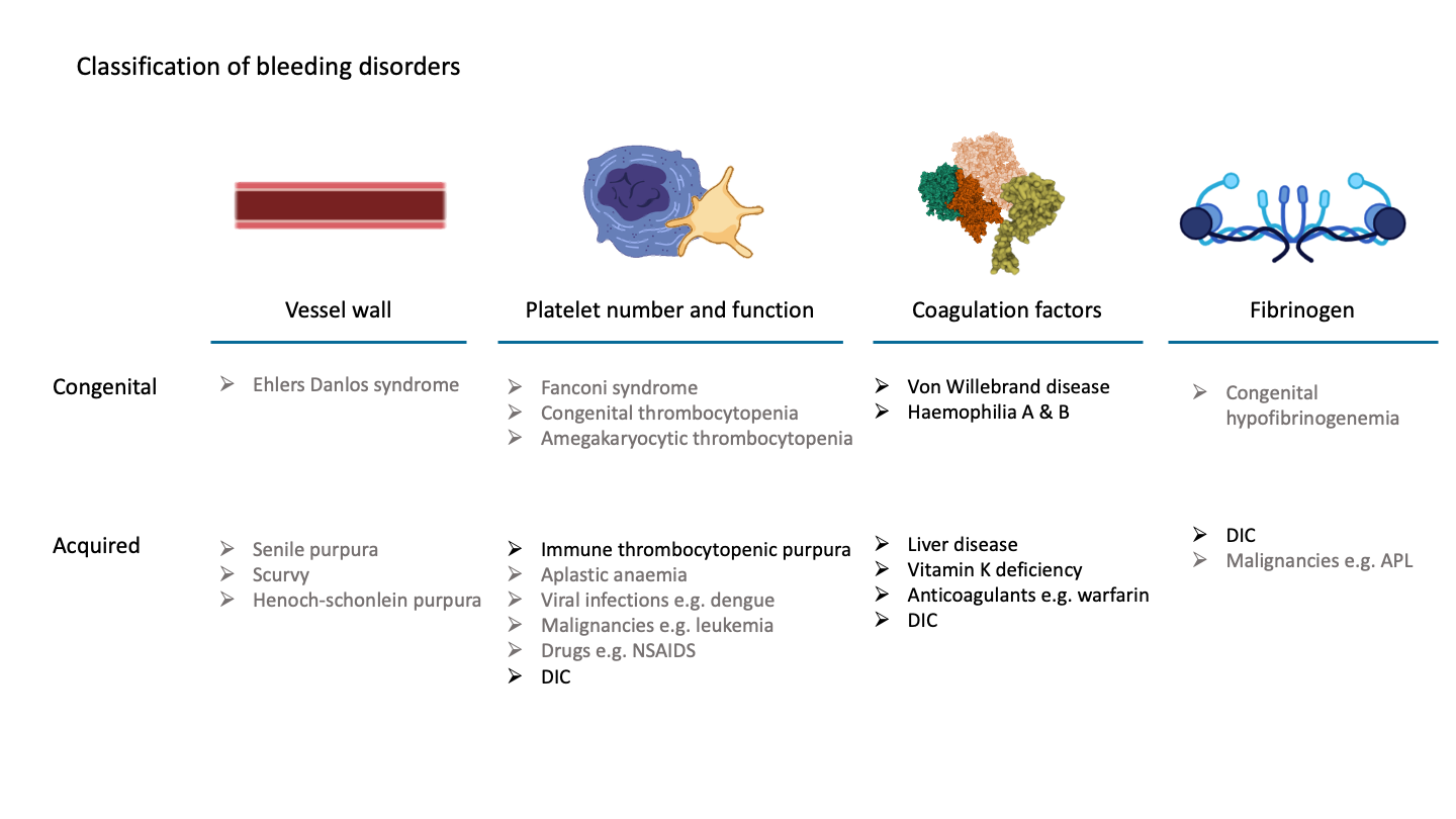 Clinical and laboratory assessment of bleeding – Blood & Water