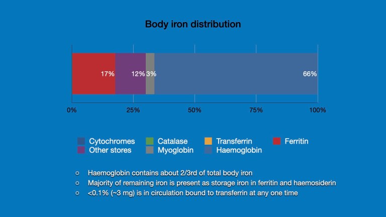Iron as an essential element – Blood & Water